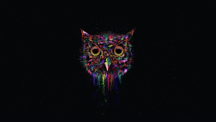 3 Owl Live Wallpapers, Animated Wallpapers - MoeWalls