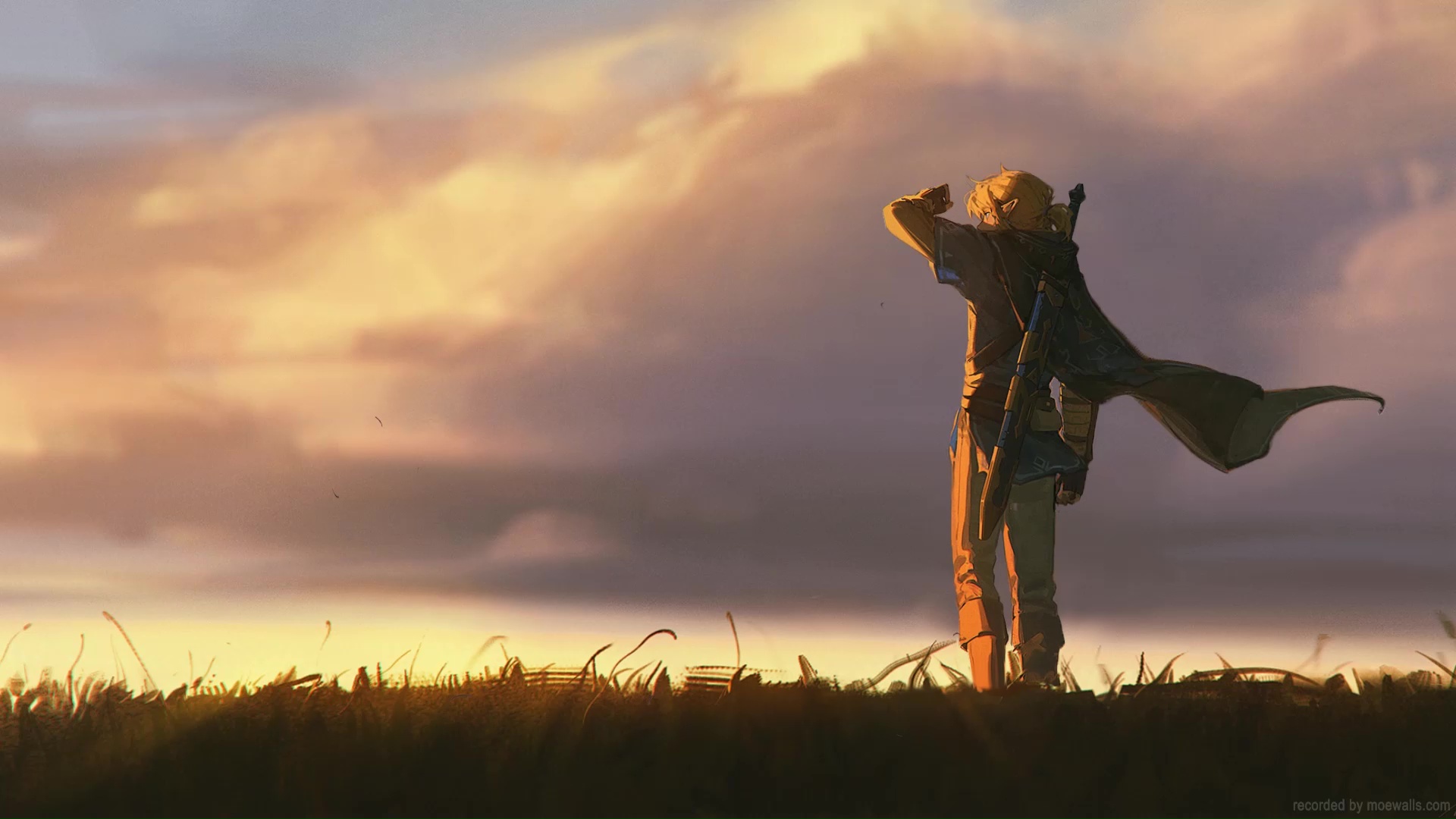 Link Journey The Legend Of Zelda: Breath Of The Wild Live Wallpaper ...
