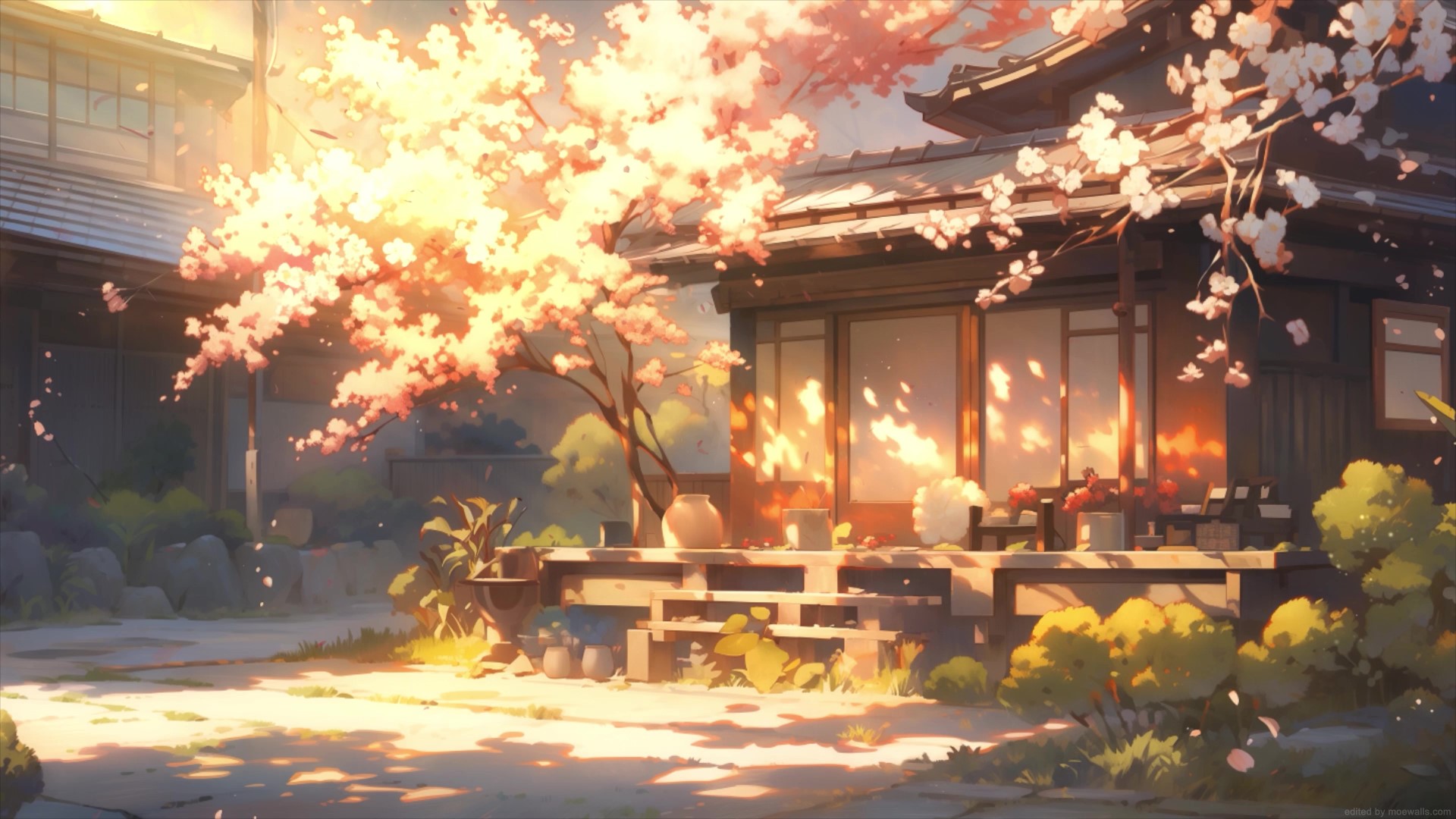 Traditional Japanese House Sunny Day Live Wallpaper - MoeWalls