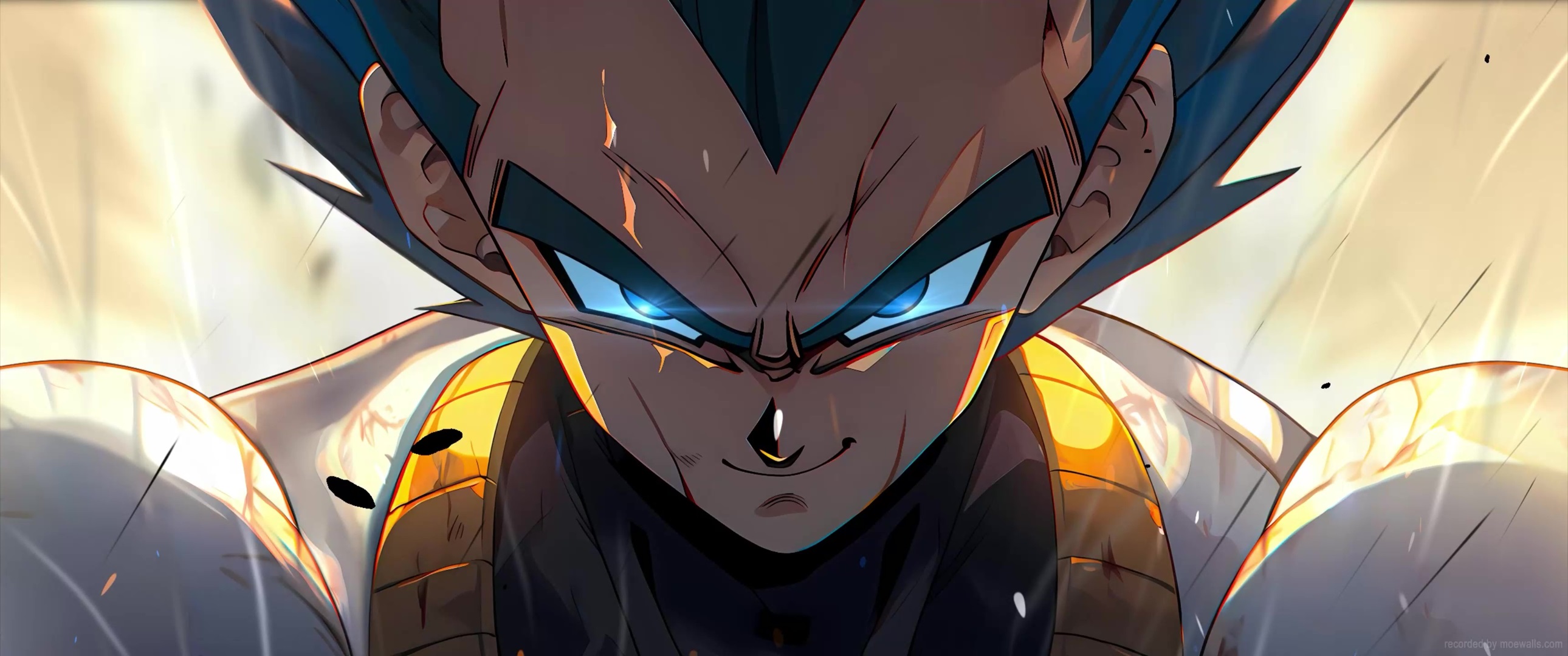 Vegeta Super Saiyan Blue Dragon Ball Live Wallpaper - MoeWalls