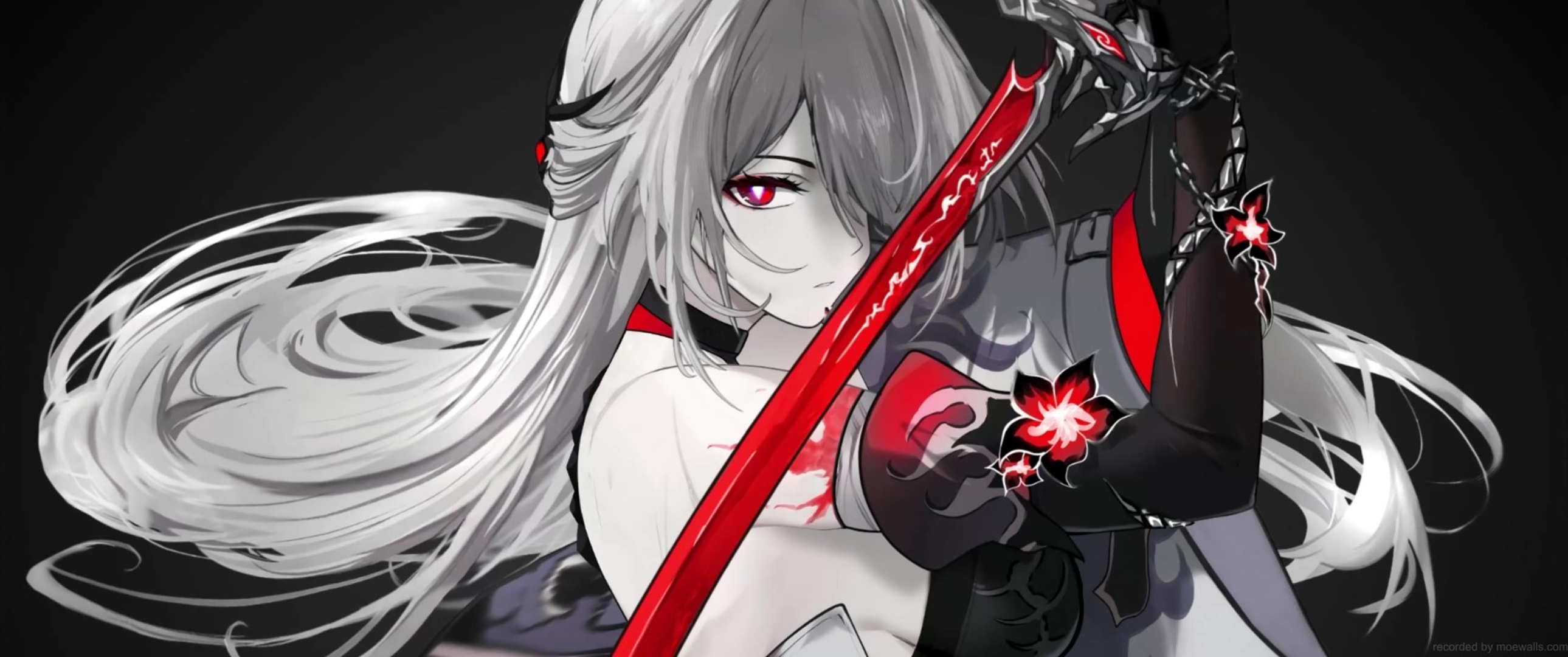 Acheron Honkai: Star Rail Live Wallpaper - MoeWalls