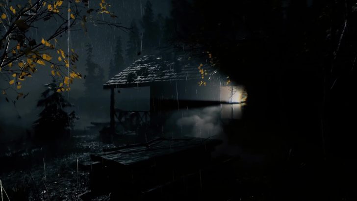 286 Forest Live Wallpapers, Animated Wallpapers - MoeWalls