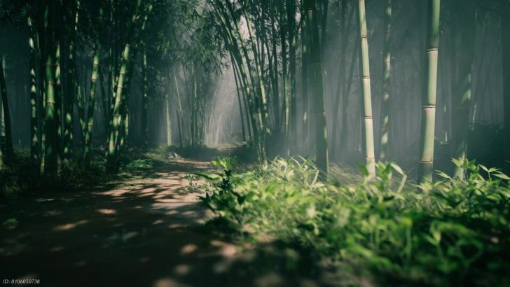 286 Forest Live Wallpapers, Animated Wallpapers - MoeWalls