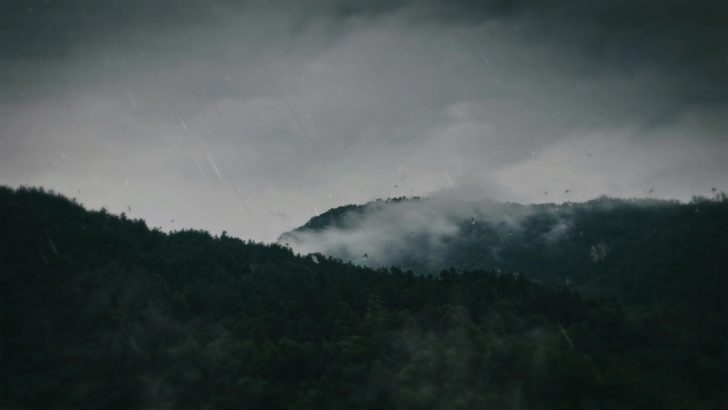 299 Forest Live Wallpapers, Animated Wallpapers - MoeWalls