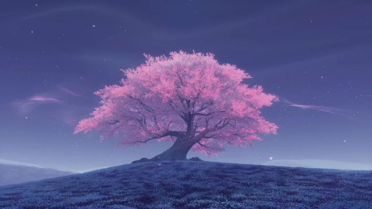 14 Cherry Blossom Live Wallpapers, Animated Wallpapers - MoeWalls